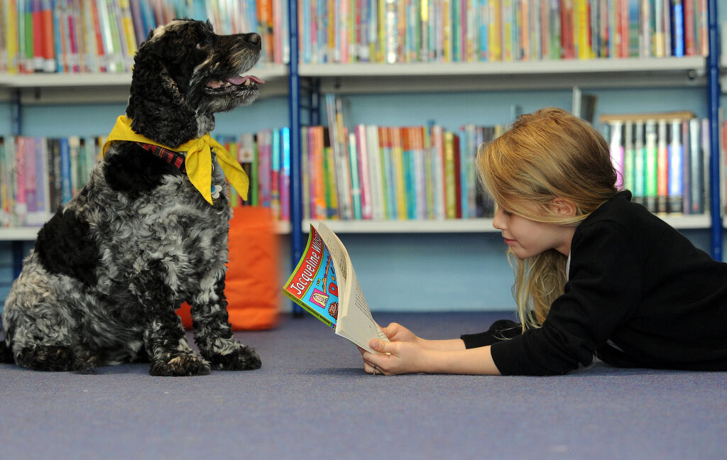 Reading With Dogs - Therapet