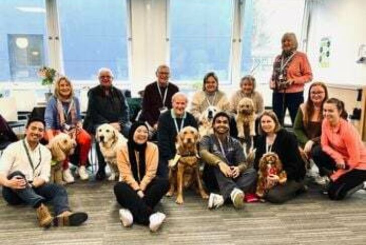 Latest - Therapet