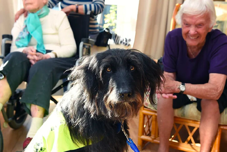 Schools & Education - Therapet